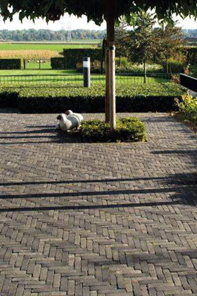 Lucca Clay Paving Bricks | Dutch Clay Pavers | Chelmer Valley
