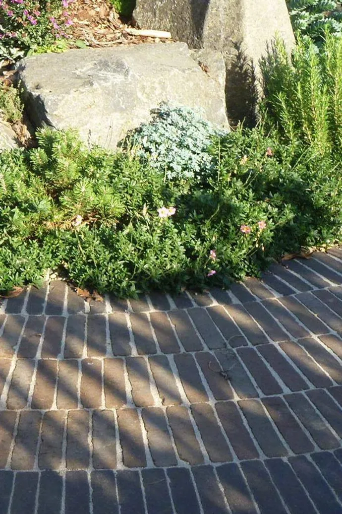 Lucca Clay Paving Bricks | Dutch Clay Pavers | Chelmer Valley