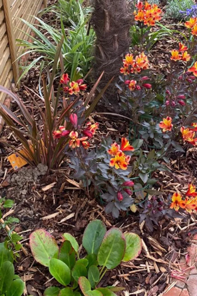 Seville Clay Pavers | Brick Pavers | Chelmer Valley