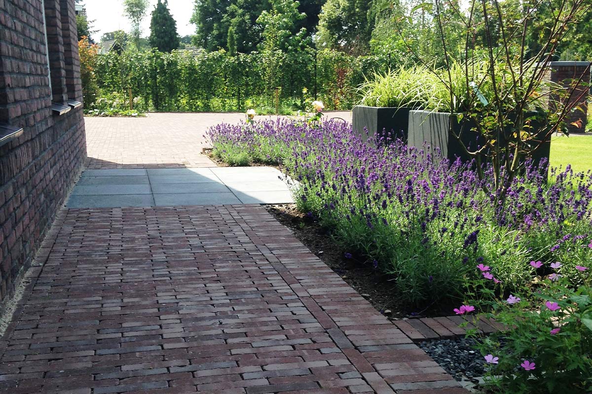 Bergamo Clay Paving Bricks | Dutch Clay Pavers | Chelmer Valley