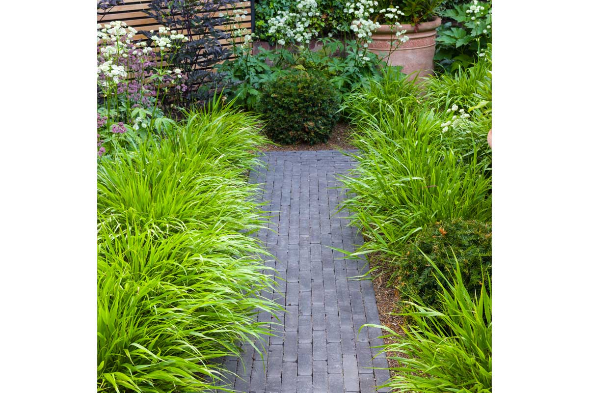 Charcoal Grey Clay Pavers | Brick Pavers | Chelmer Valley