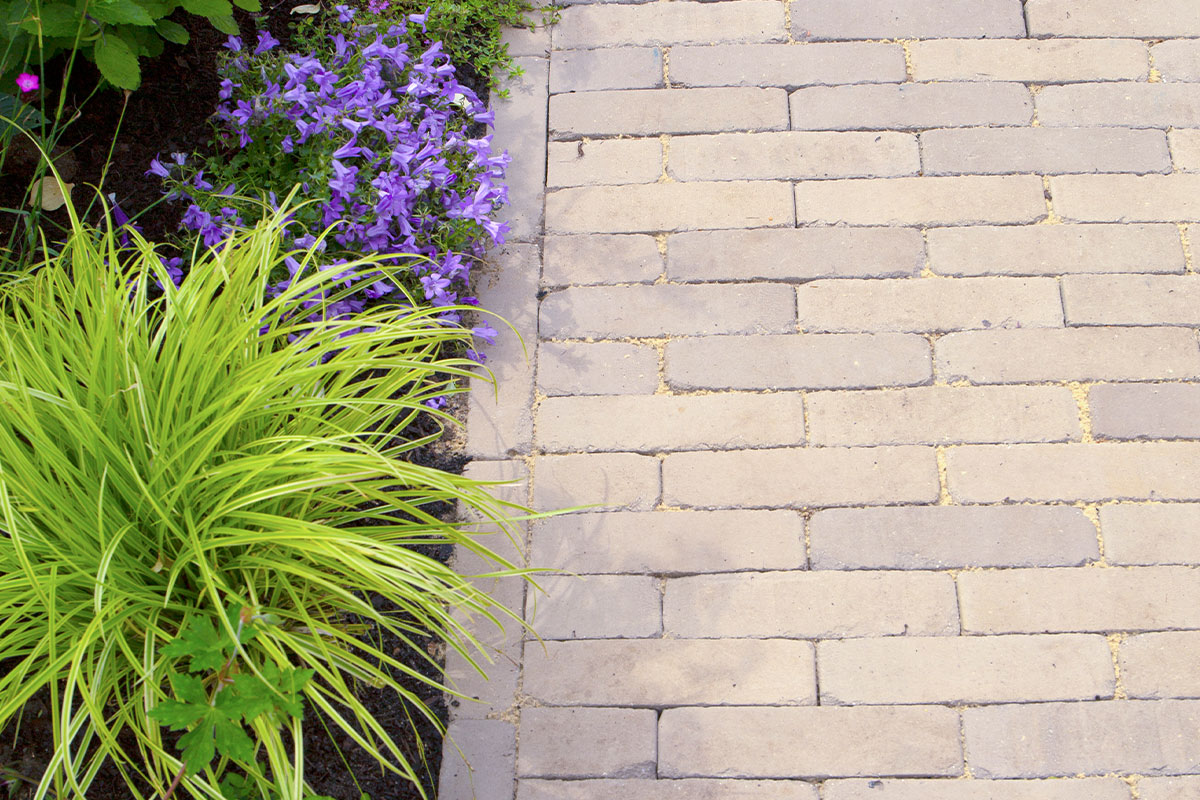 Gromo Antica Clay Paving Bricks | Dutch Clay Pavers | Chelmer Valley